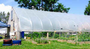 Press Coverage | New About the Tri-Main Center | Buffalo, NY